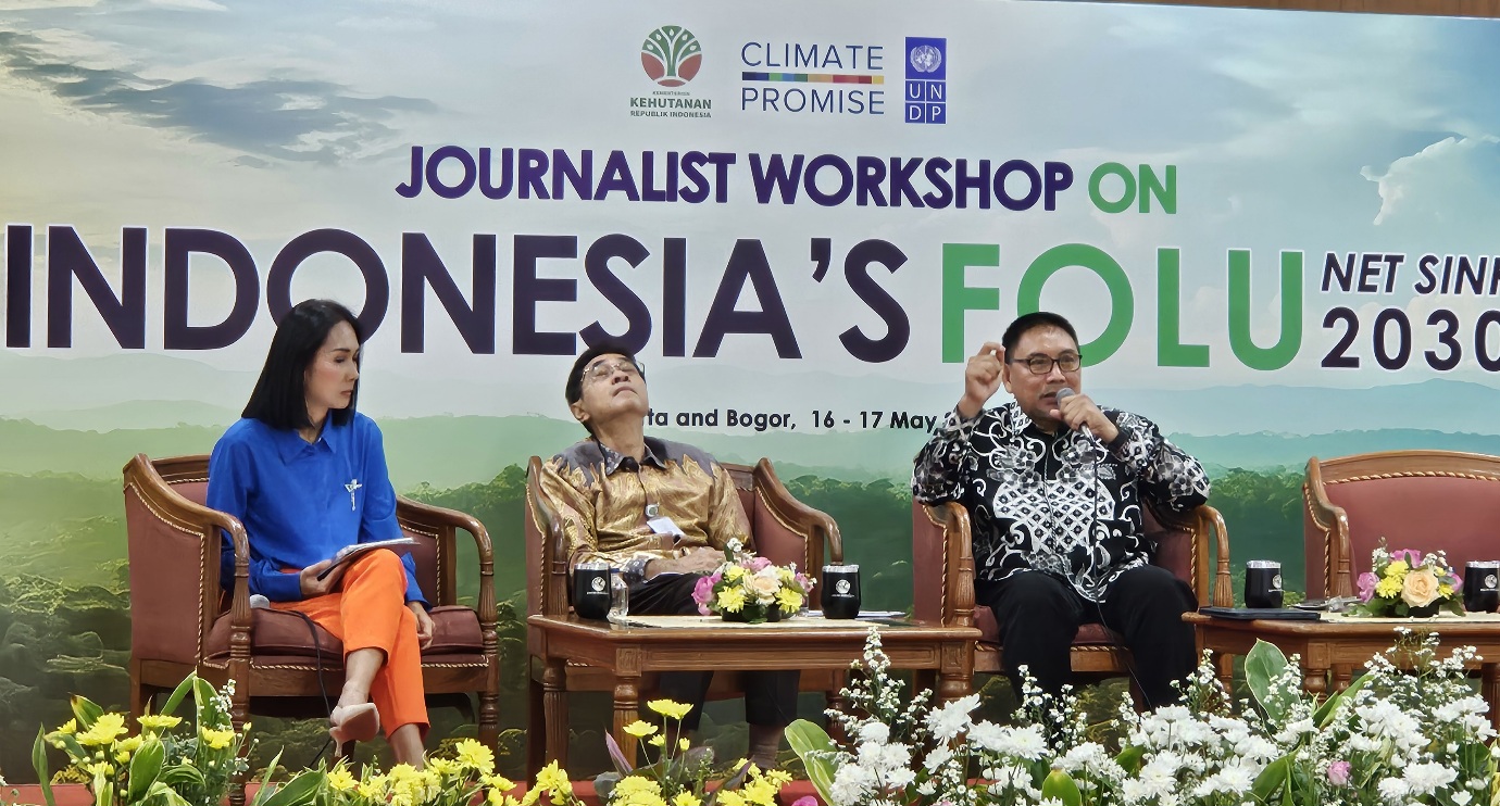 Indonesia Butuh Pendanaan Rp 400 Triliun untuk Proyek FOLU Net Sink ...