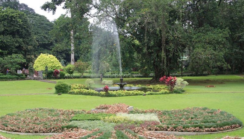 BRIN Susun Pengganti Perpres Tentang Kebun Raya | Mnctrijaya.com