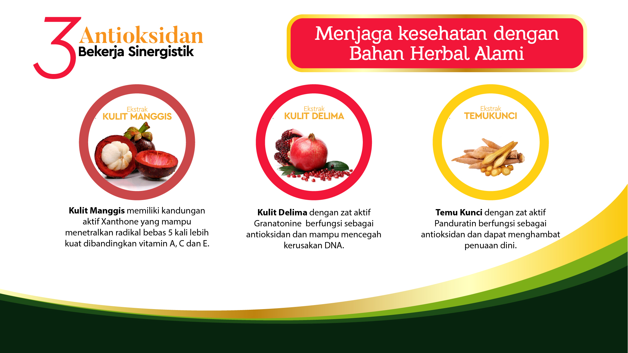 Tetap Aktif di Tengah Pandemi Dengan Imunostimulan dan Antioksidan ...