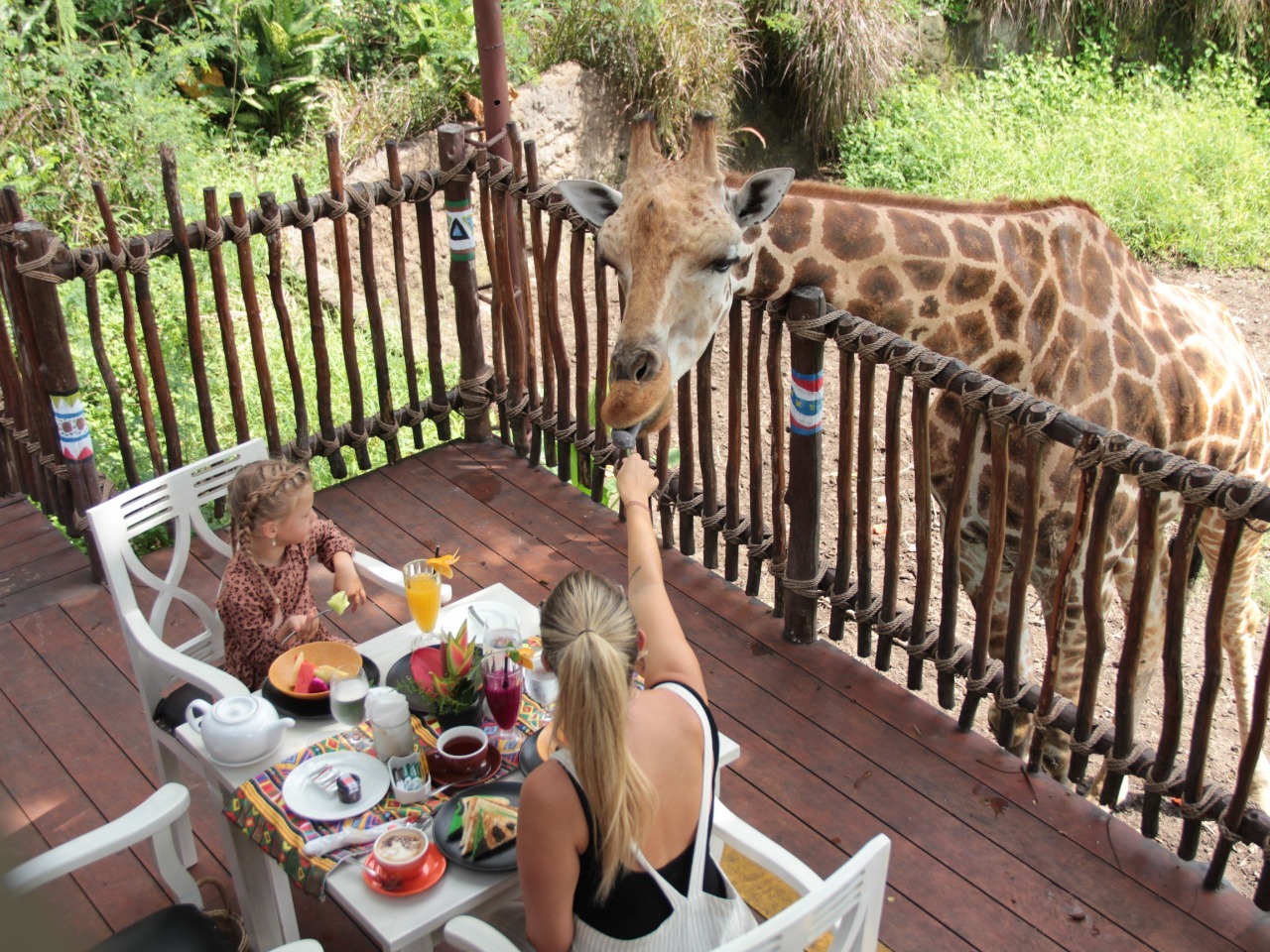 Taman Safari Indonesia Siap Tampil di Ajang Indonesia Travel Fair 2023 ...