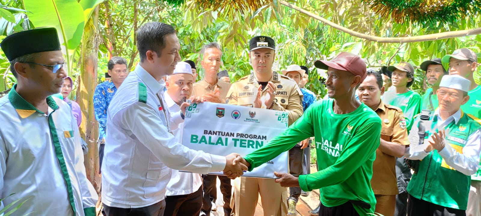 BAZNAS Luncurkan Program Balai Ternak di Kabupaten Sijunjung ...