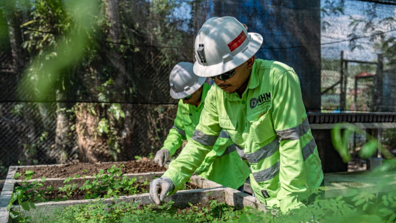 Komitmen dan Usaha PT Nusa Halmahera Minerals Dalam Mewujudkan Green ...