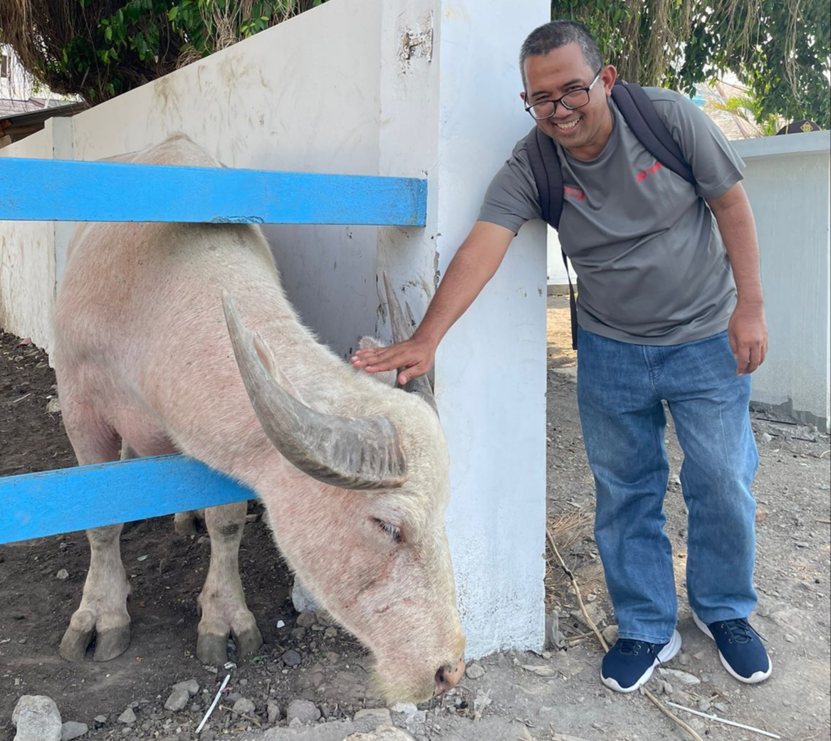 Kyai Slamet, Maskot Peparnas Solo Lambang Keselamatan | Mnctrijaya.com