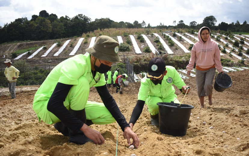 Kementan Sukses Rangsang Kewirausahaan dan Serap Tenaga Kerja di Sektor Pertanian | Mnctrijaya.com