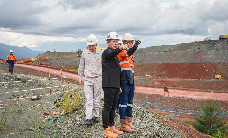Menteri LH Minta PT Weda Bay Nickel Percepat Rehabilitasi Lingkungan ...