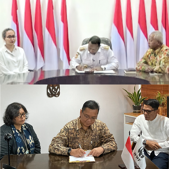 Pemprov Papua Selatan dan WWF Indonesia Tandatangani Kesepakatan Untuk ...