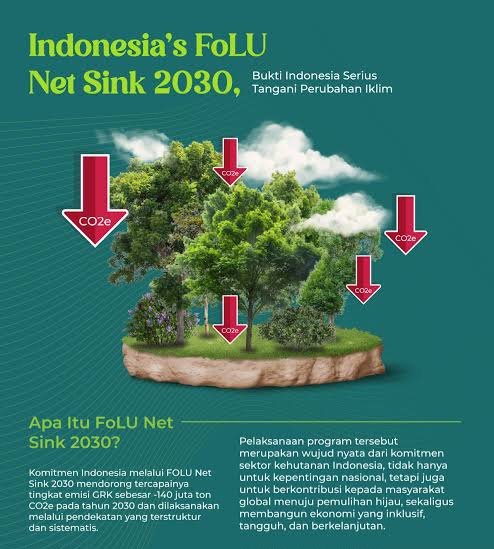 Mengenal Apa Itu FOLU Net Sink 2030 | Mnctrijaya.com