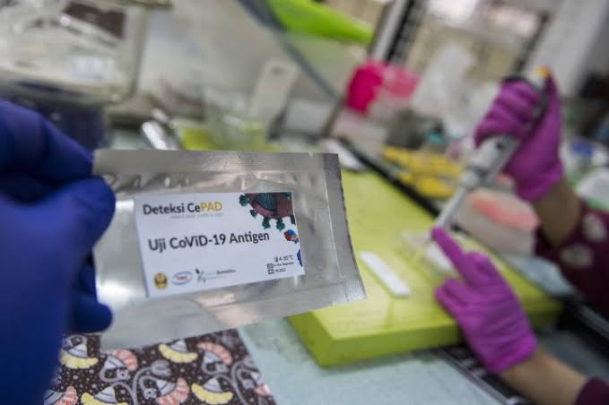 WHO Beri Rekomendasi untuk Indonesia Lakukan Rapid Test Antigen ...