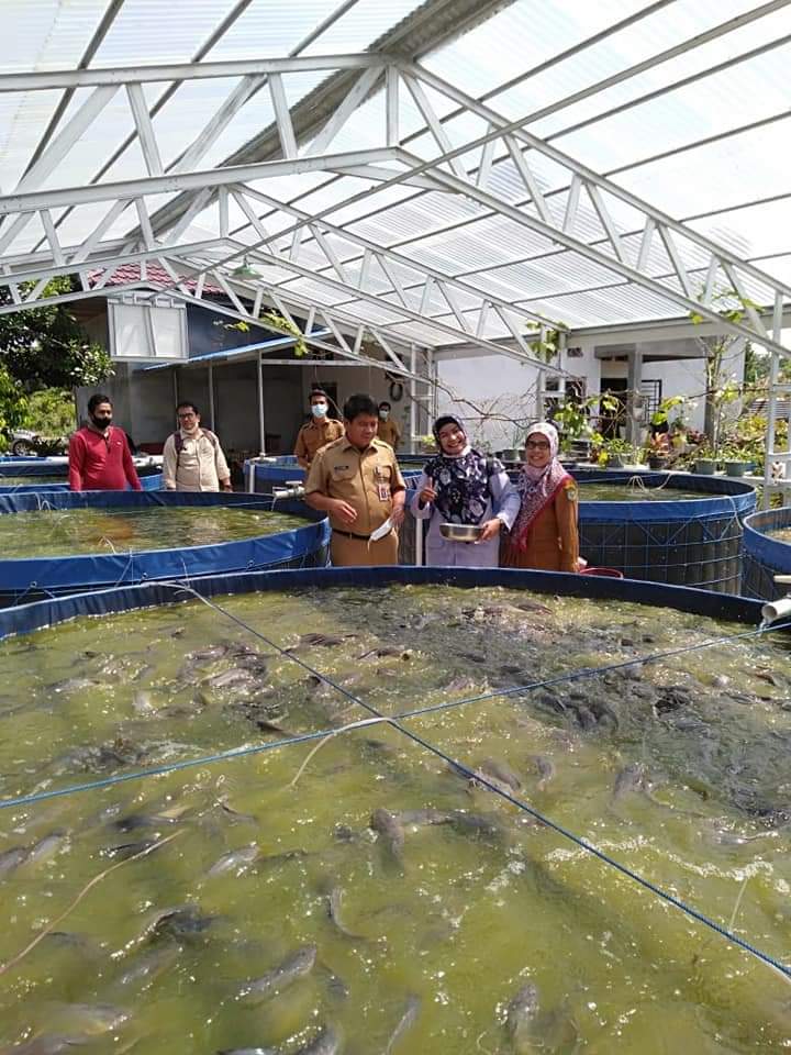 KKP Lakukan Panen Raya Lele Bioflok di Provinsi Riau | Mnctrijaya.com